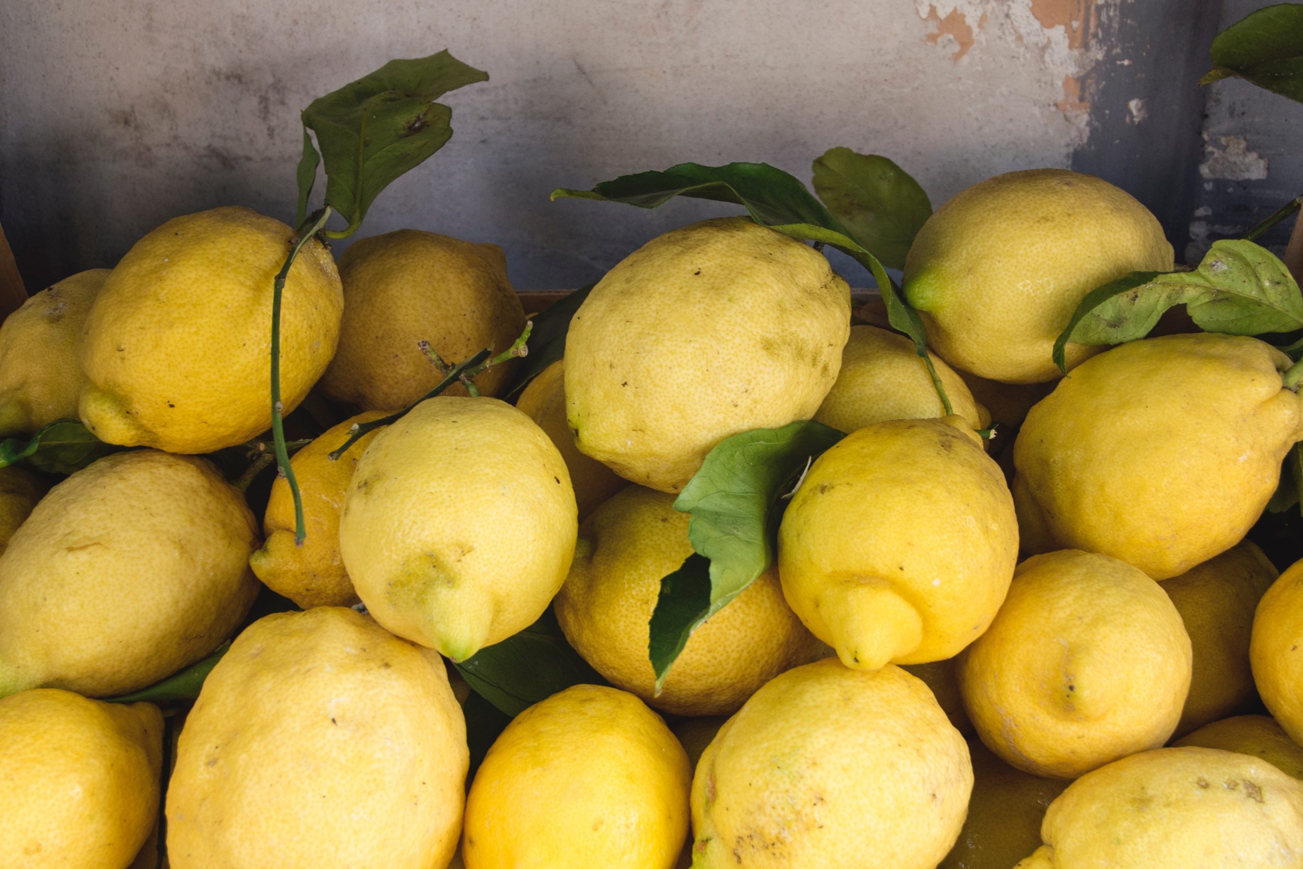 Provenance brochure - Nactis Flavours